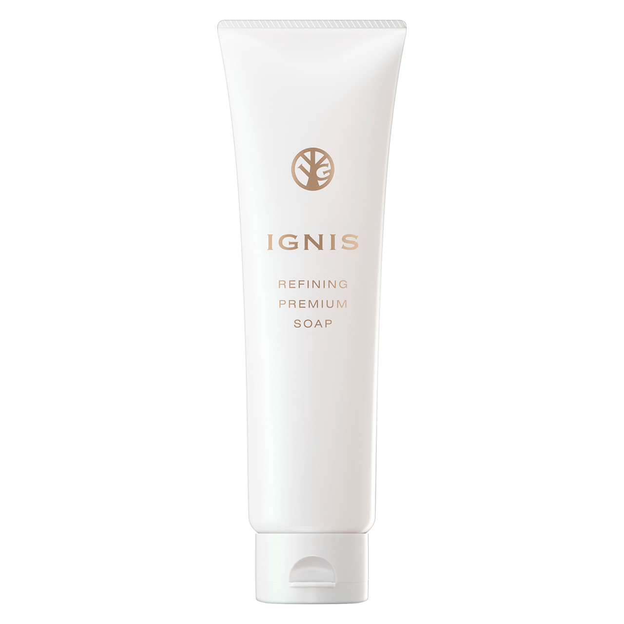 IGNIS IGNIS